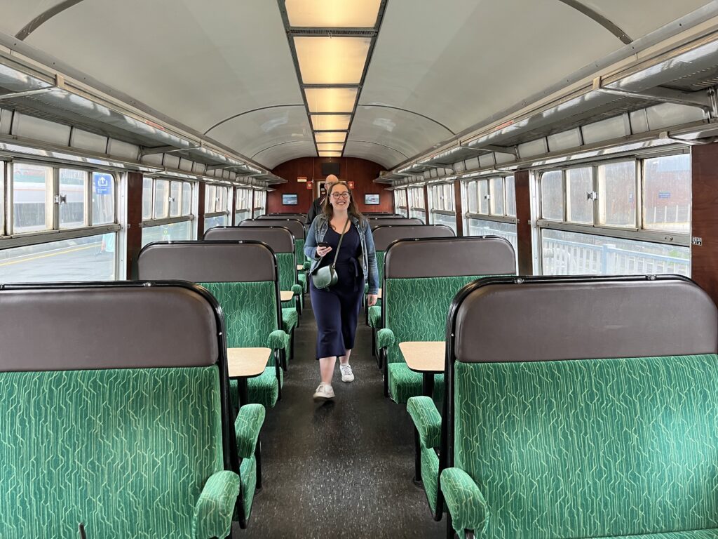 Unique Things To Do In Dublin: Dublin Steam Train